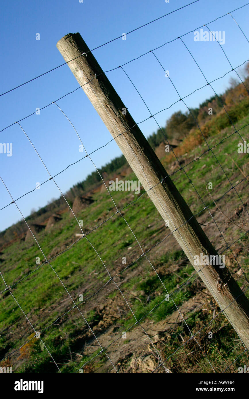 The waste land hi-res stock photography and images - Alamy