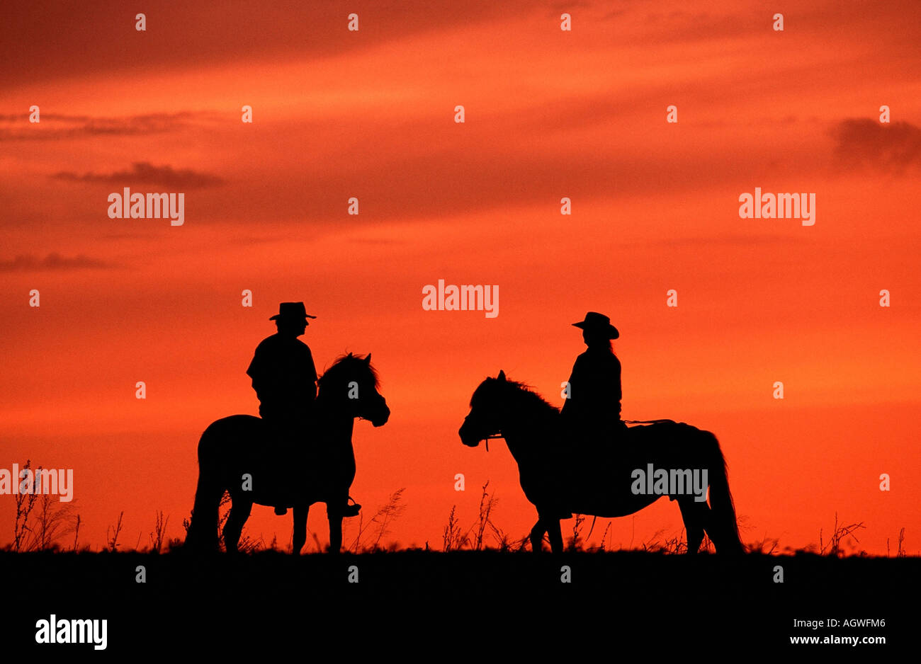 Rider at sunset Stock Photo - Alamy
