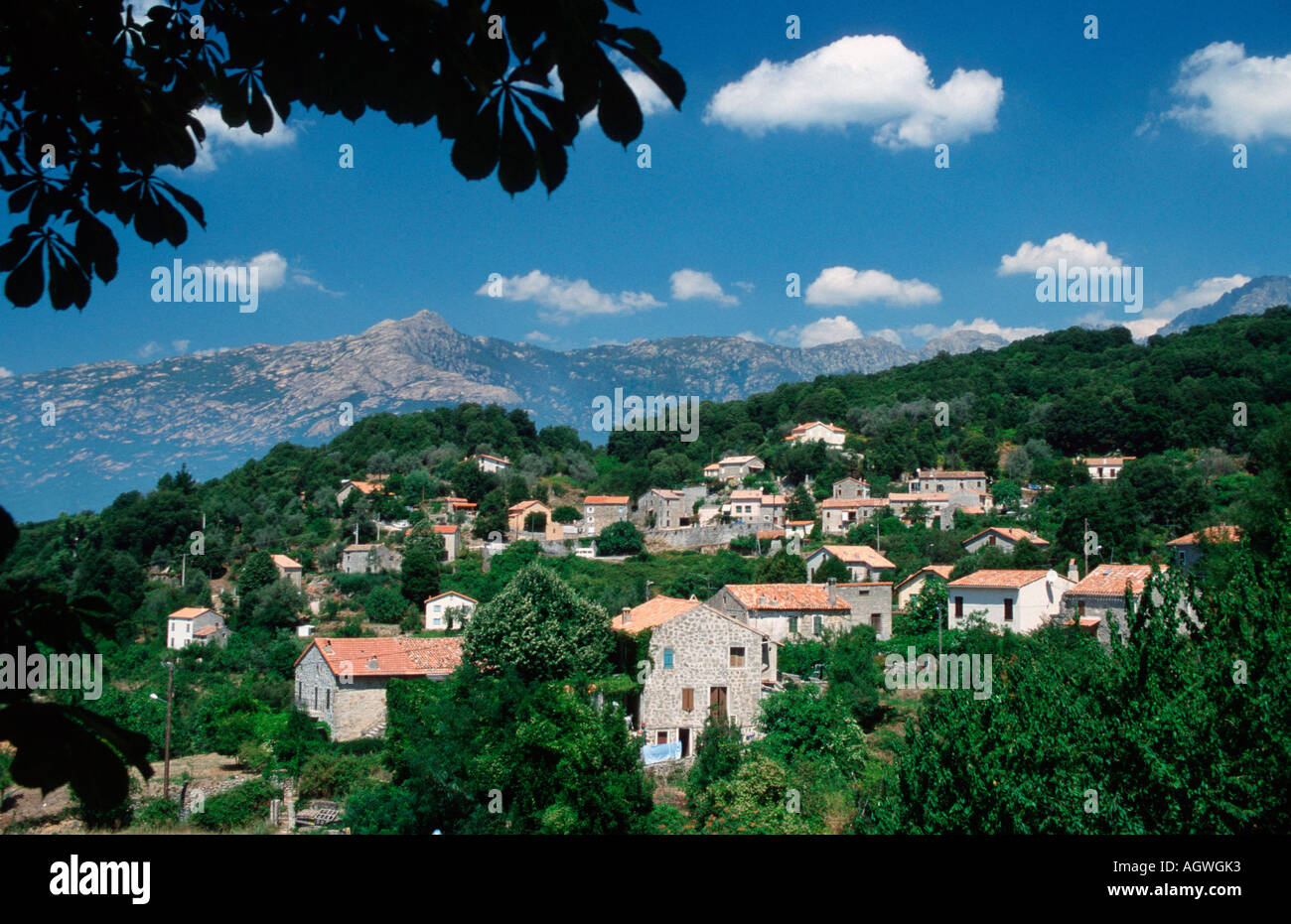 Tavera hi-res stock photography and images - Alamy