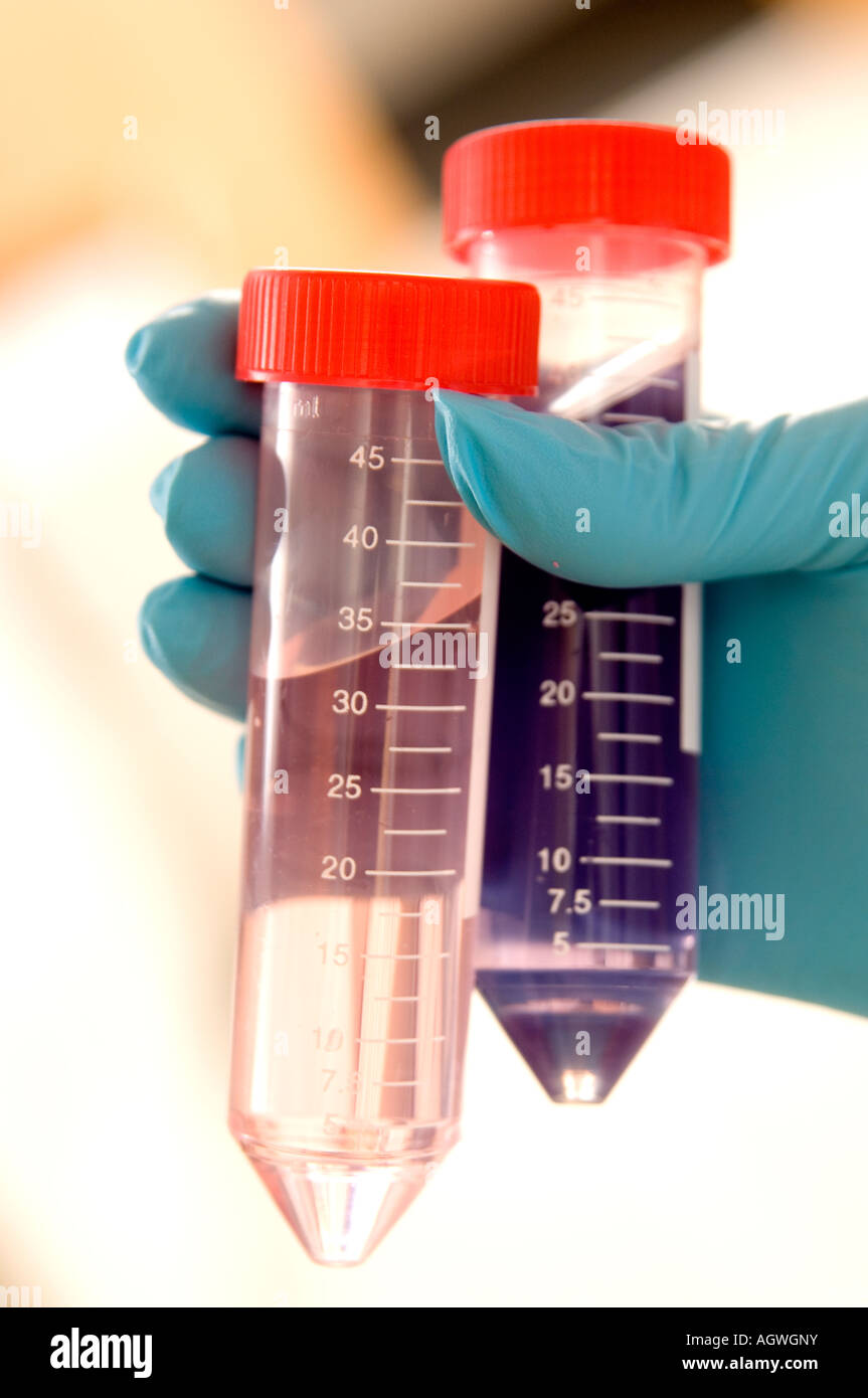 Hand holding two test tubes filled with liquid in research laboratory ...