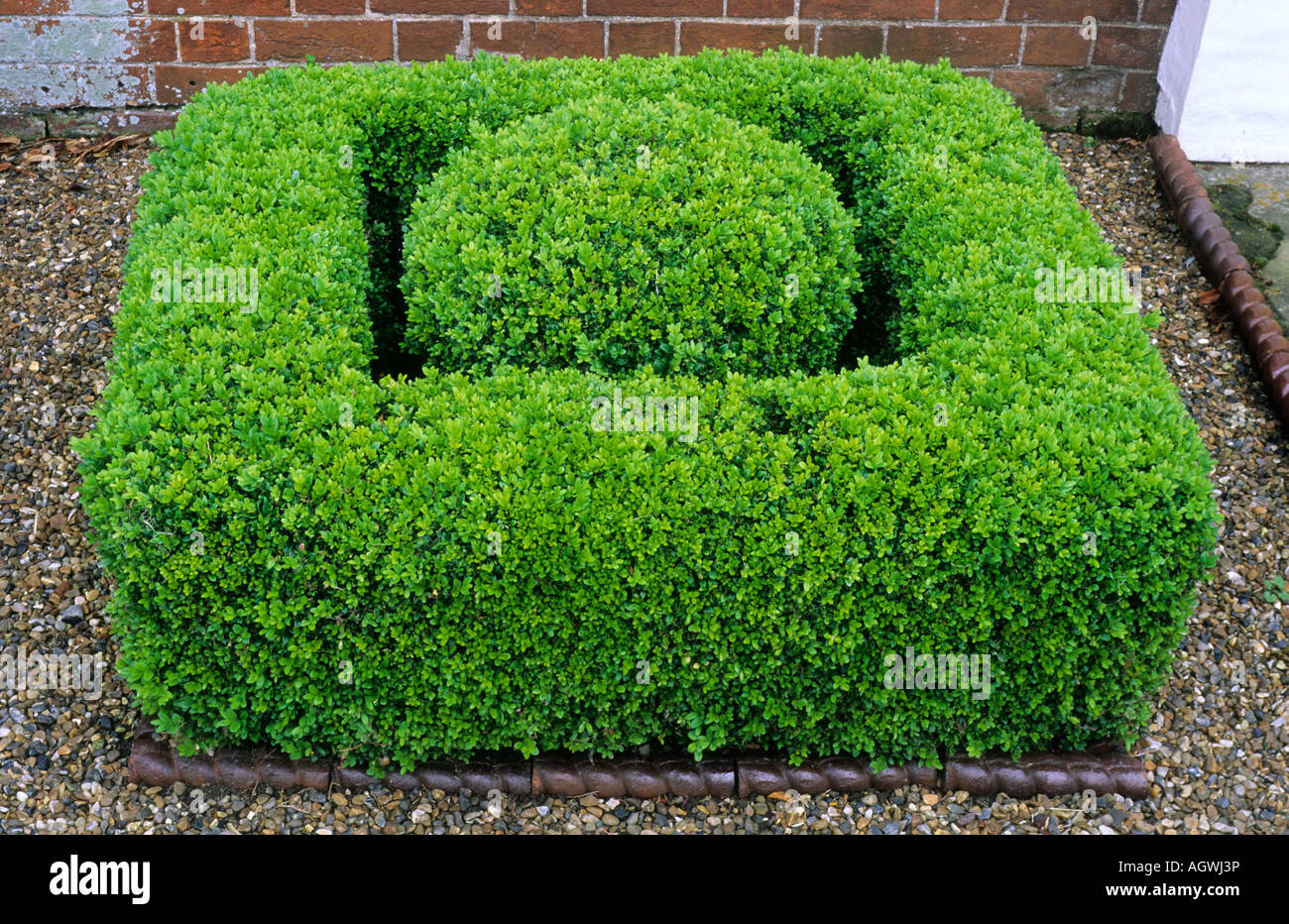 Box hedges hi-res stock photography and images - Alamy