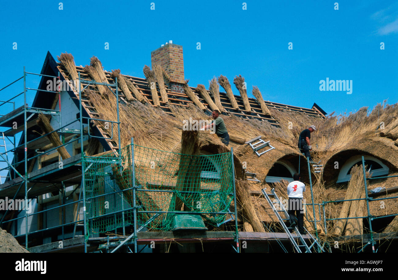 House In Reed High Resolution Stock Photography and Images - Alamy