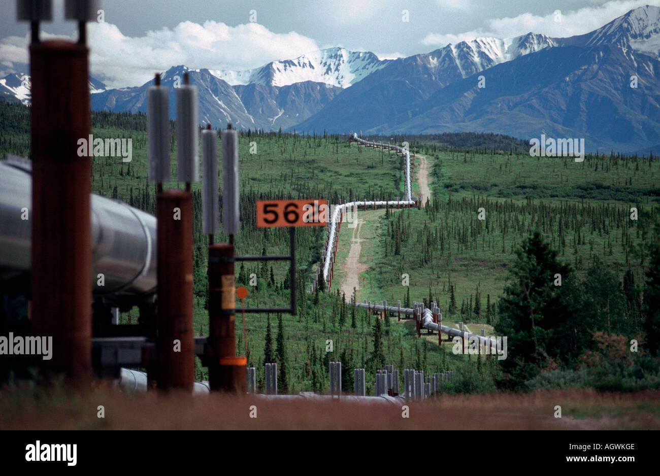 Woodland pipeline hi-res stock photography and images - Alamy