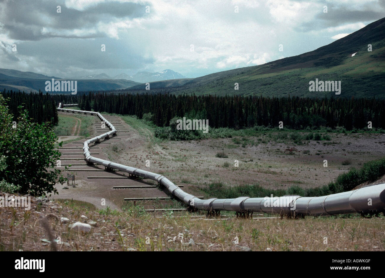 Woodland pipeline hi-res stock photography and images - Alamy