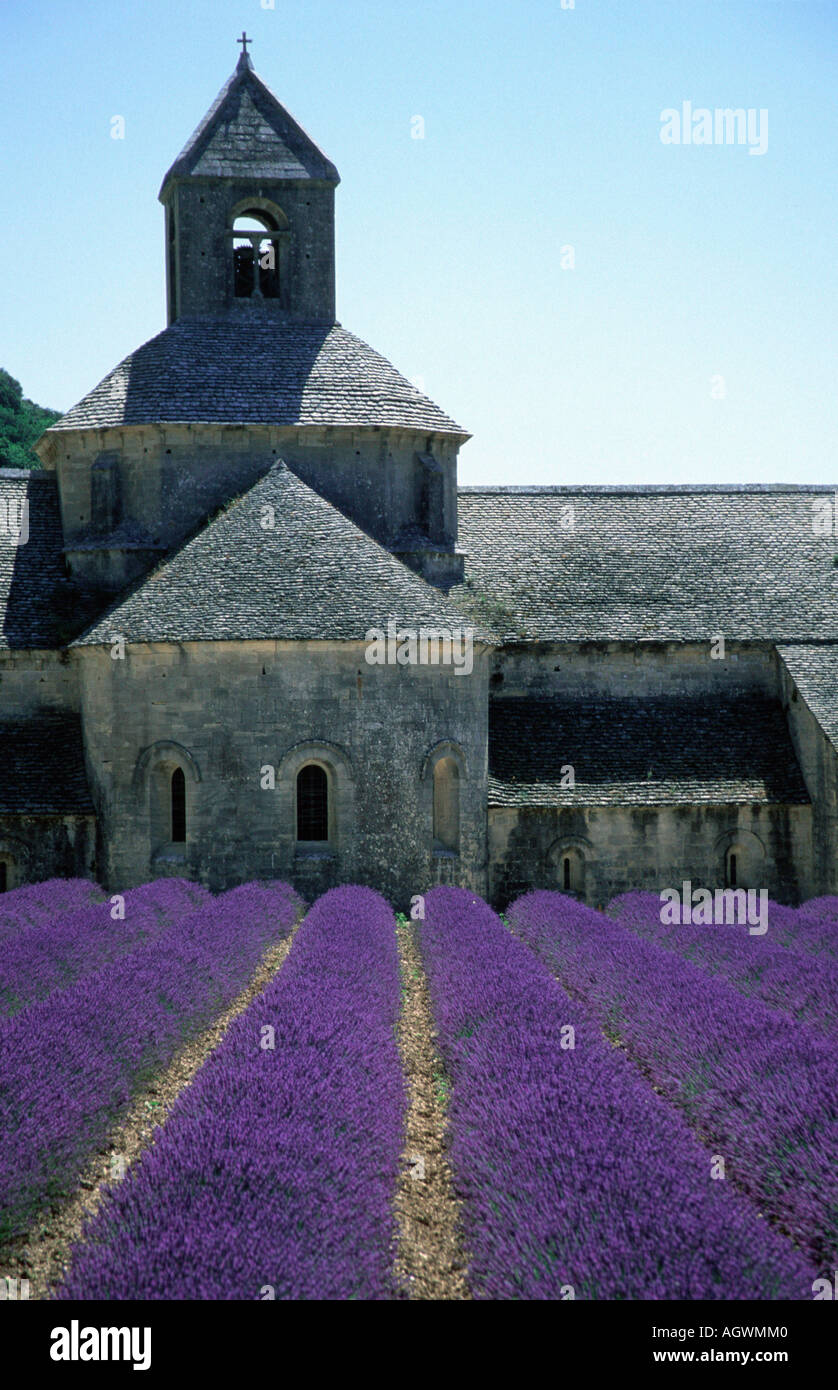 Abbey Senanque / Abtei Senanque Stock Photo - Alamy