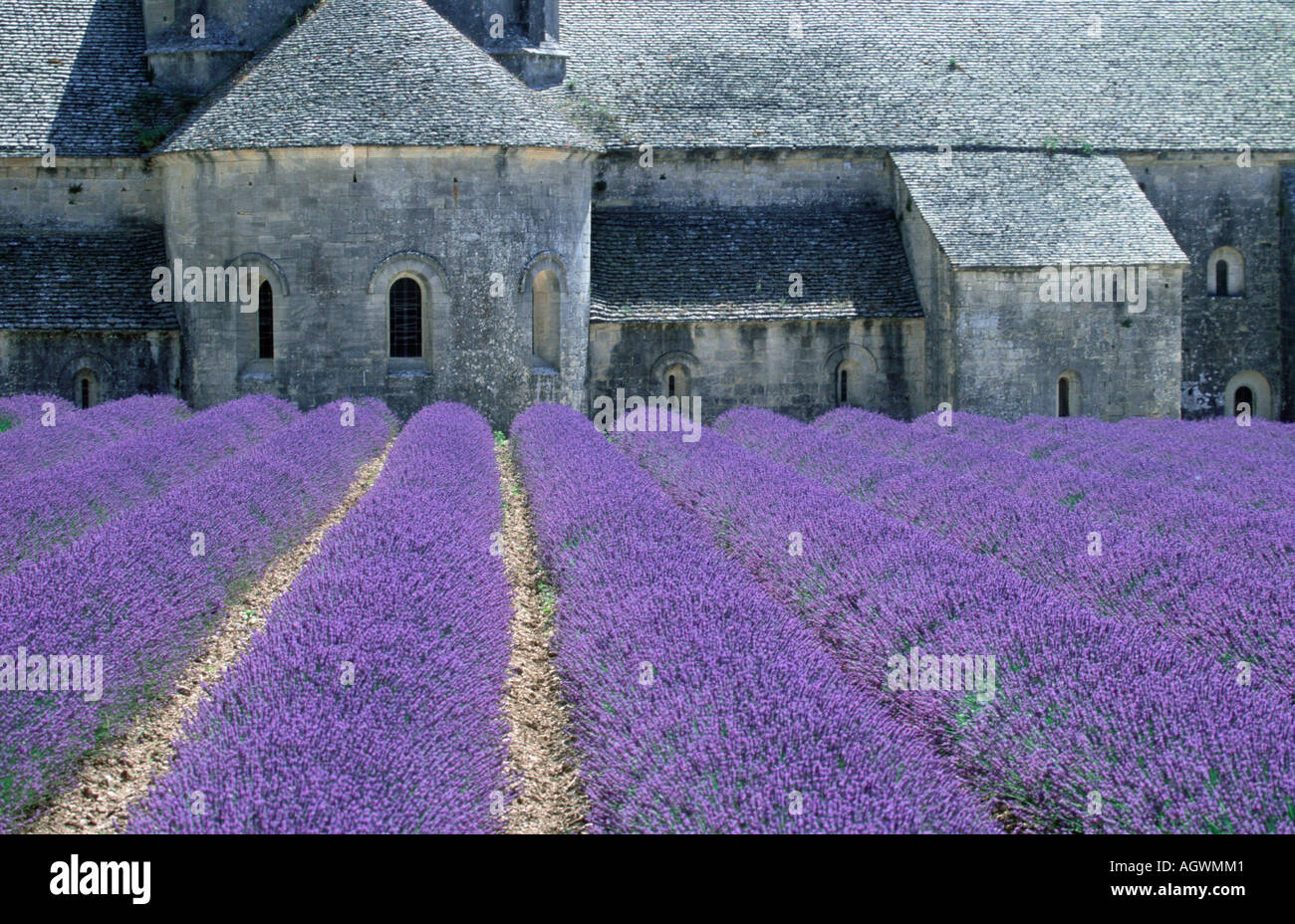 Abbey senanque abtei senanque hi-res stock photography and images - Alamy