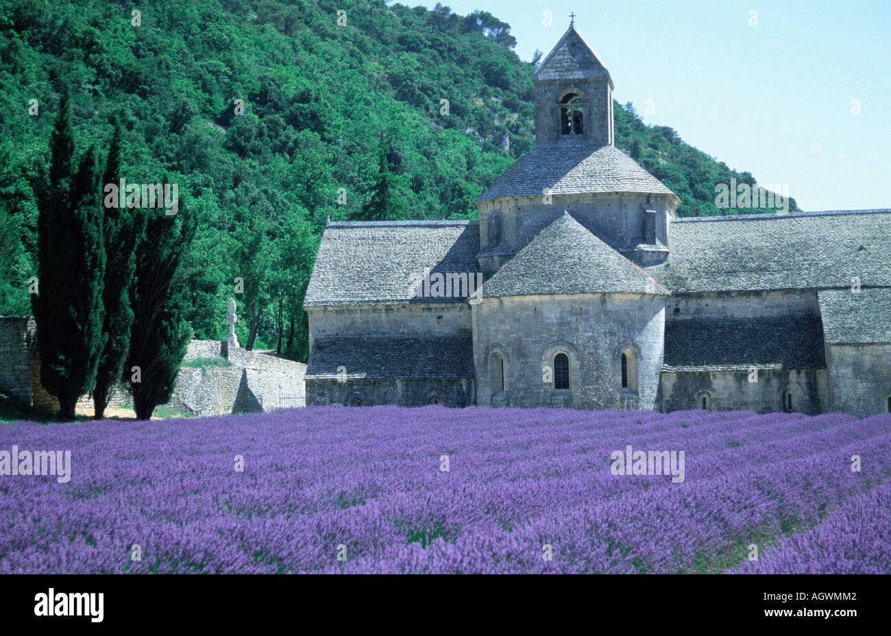 Abbey senanque abtei senanque hi-res stock photography and images - Alamy