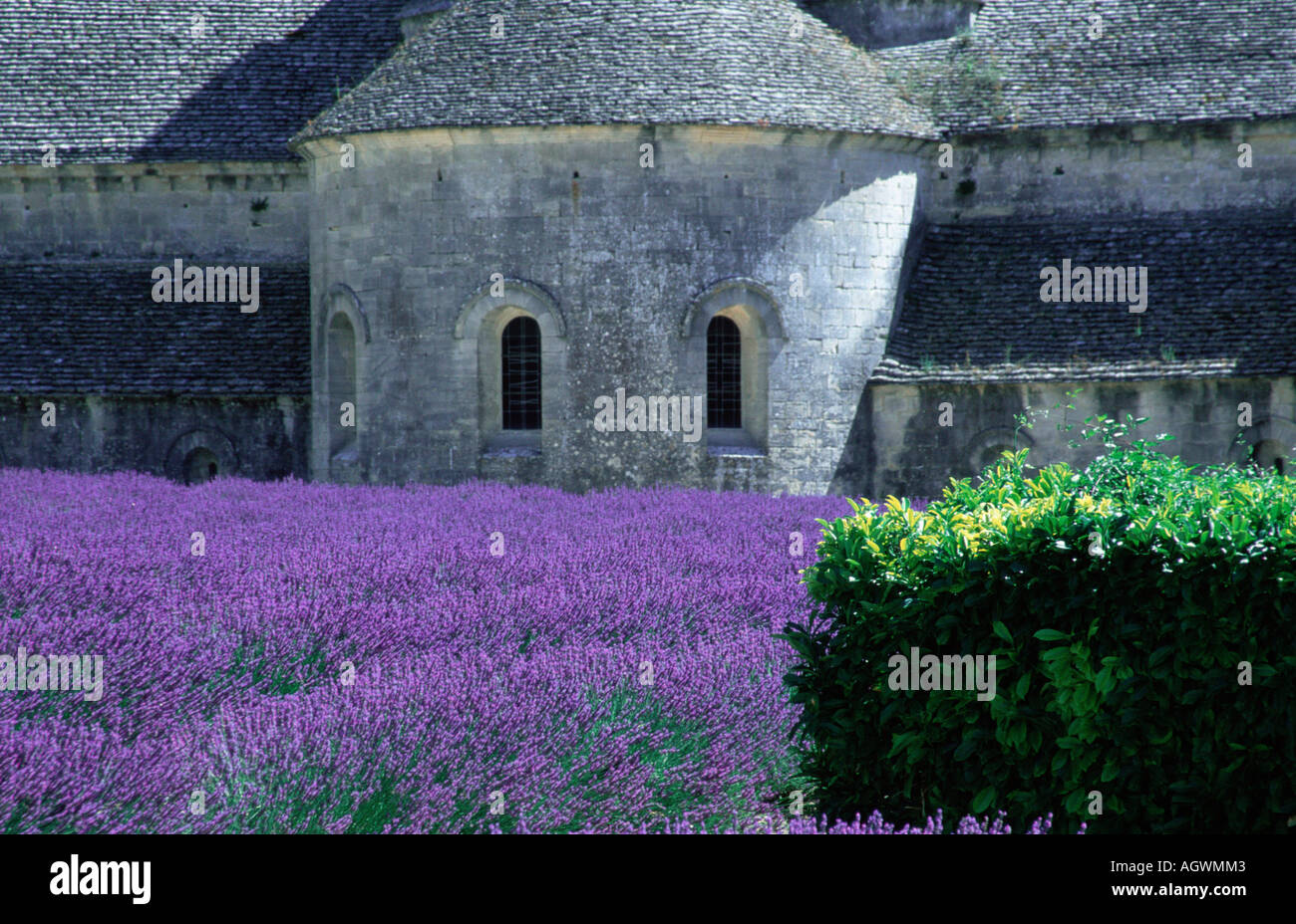 Abbey senanque abtei senanque hi-res stock photography and images - Alamy