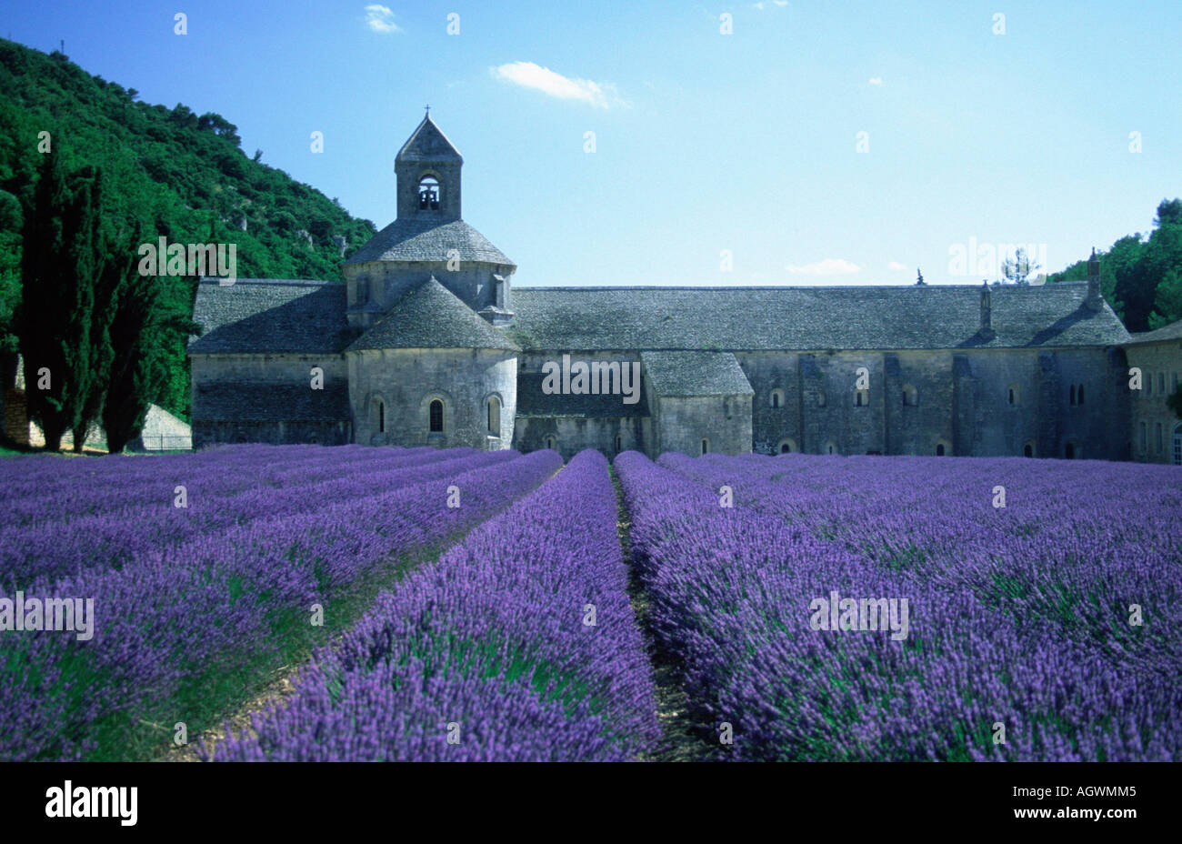 Abbey senanque abtei senanque hi-res stock photography and images - Alamy