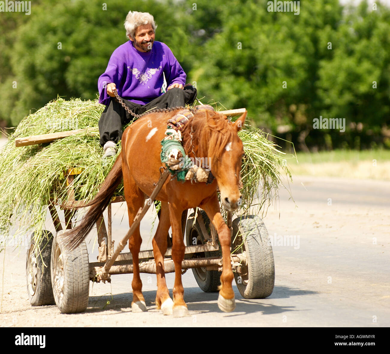 Ranch buggy hi-res stock photography and images - Alamy