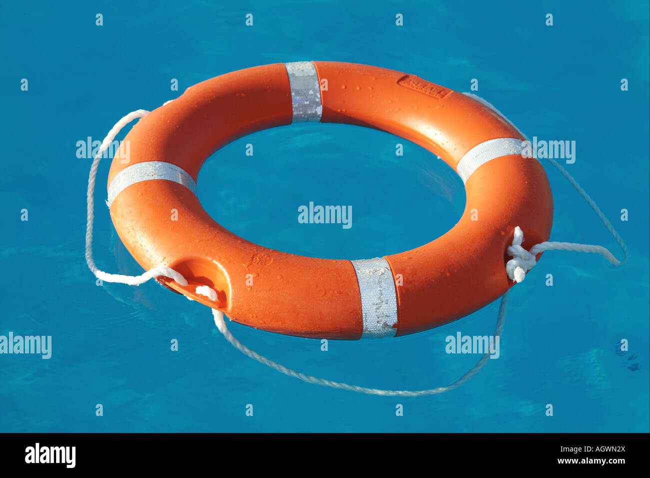 Lifebuoy in water pool Stock Photo - Alamy