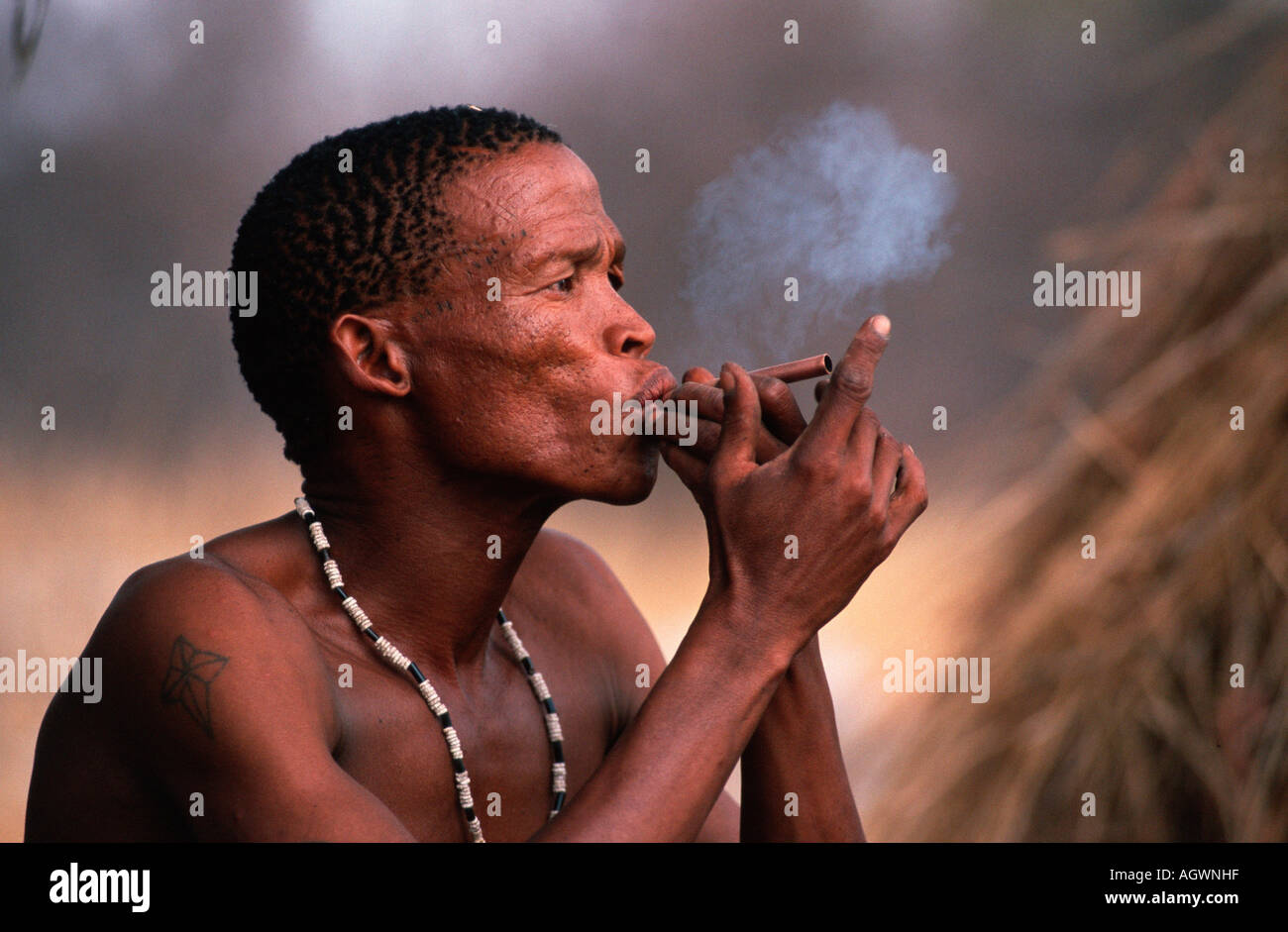 Bushman / San / Buschmann Stock Photo - Alamy