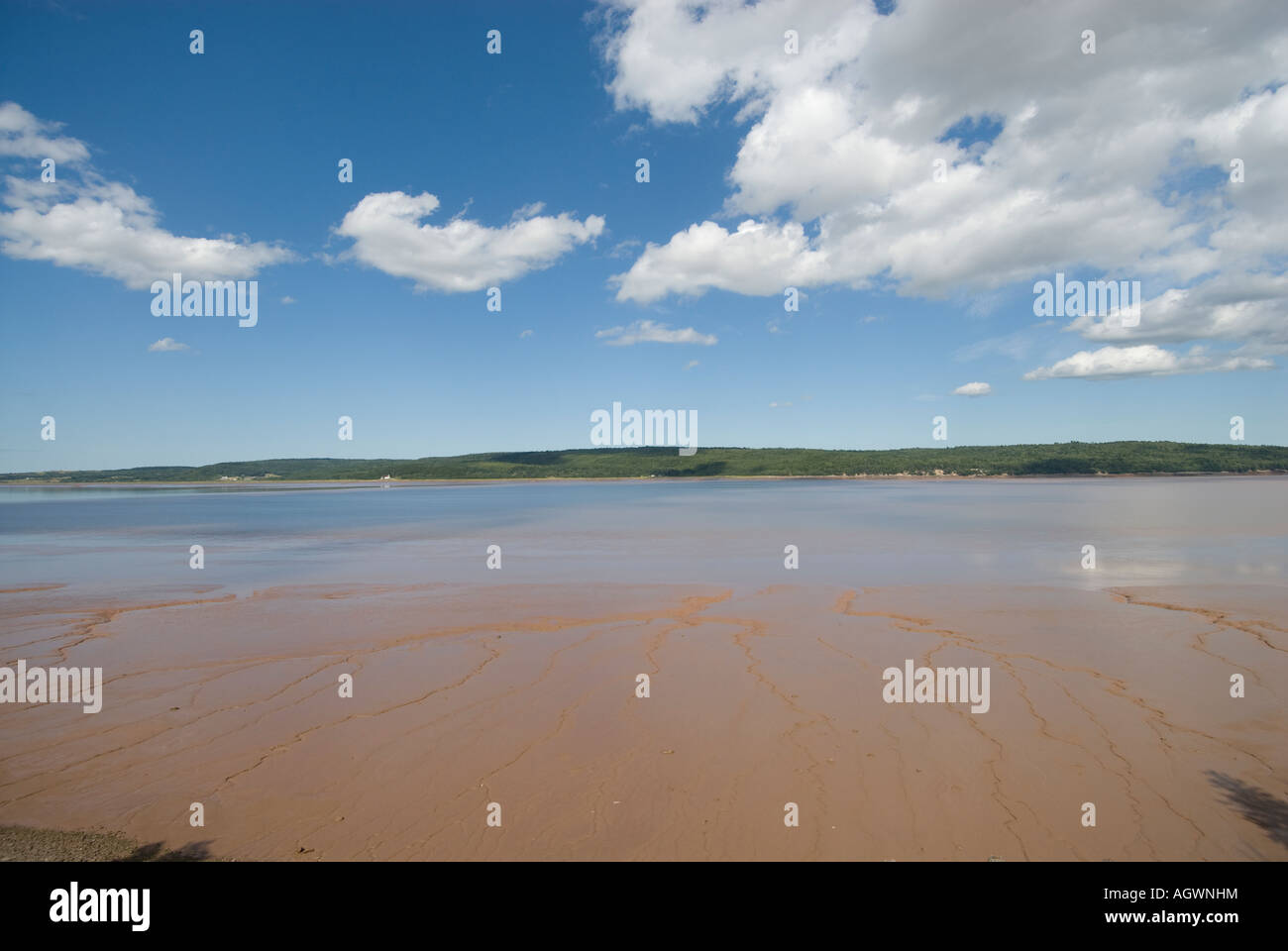 Petitcodiac river hi-res stock photography and images - Alamy