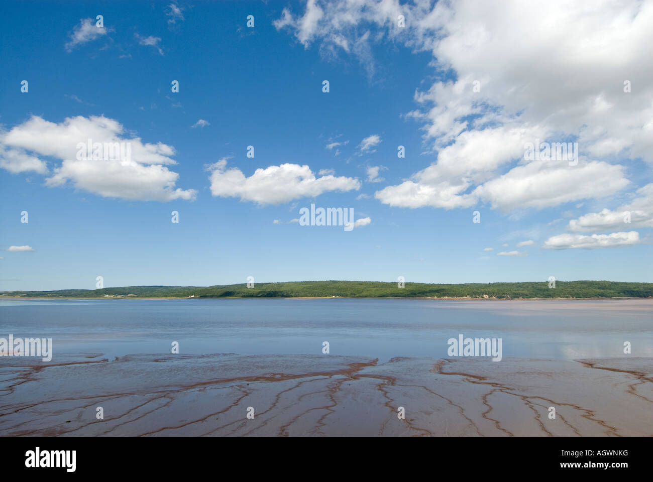 Petitcodiac River and mud flats along the shore at low tide New ...