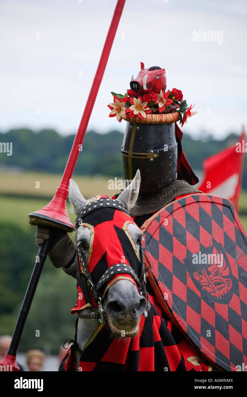 Medieval Knight Lance