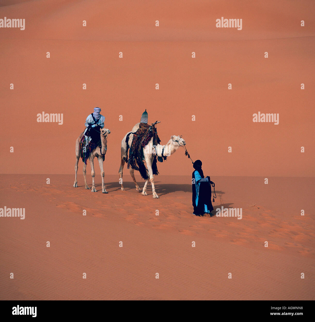 Tuaregs riding camel hi-res stock photography and images - Alamy