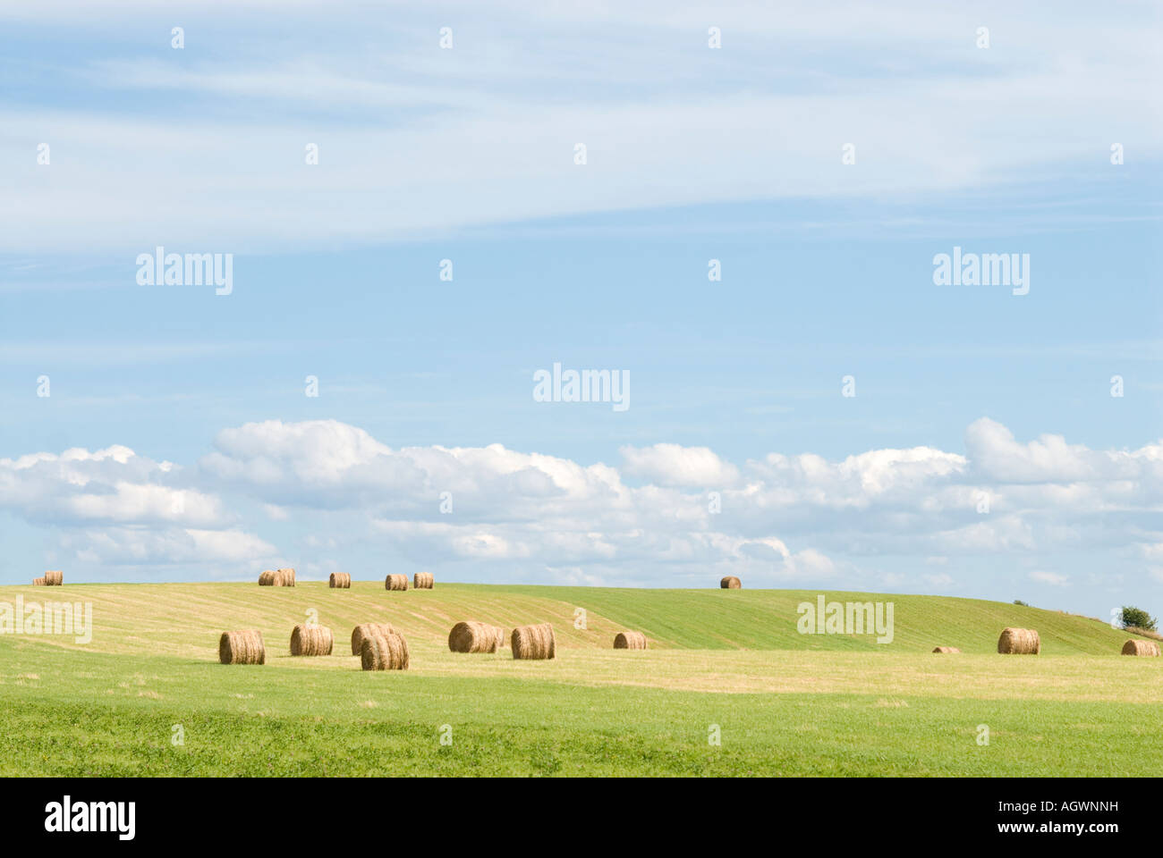 Hay fields along the Bay of Fundy north of Fundy National Park Stock ...