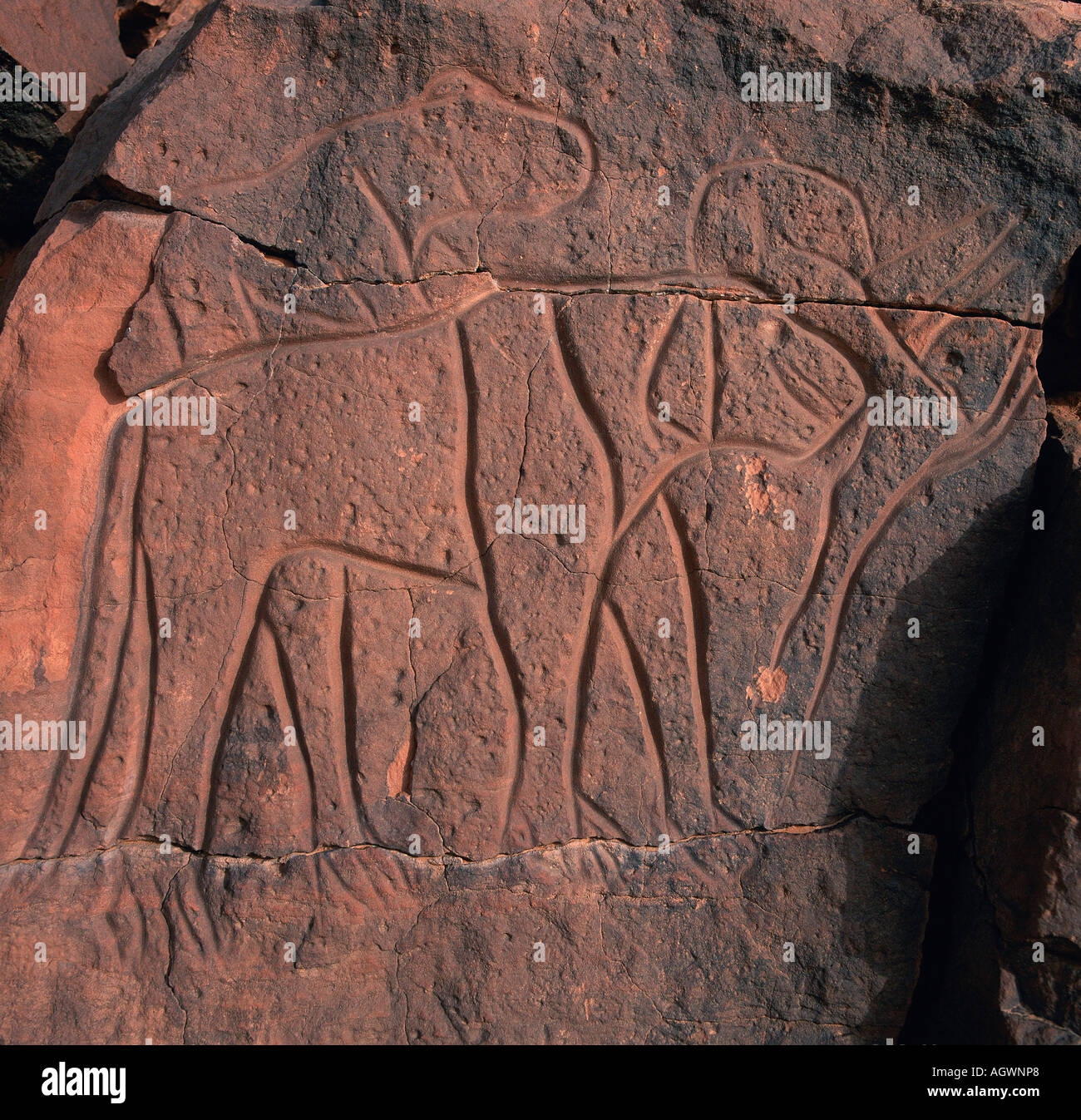 Rock engravings / Felsgravuren Stock Photo - Alamy