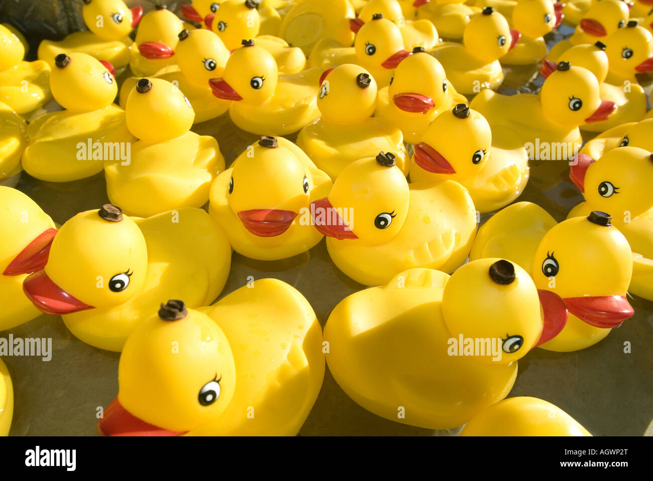 Yellow toy rubber ducks at a carnival Stock Photo - Alamy