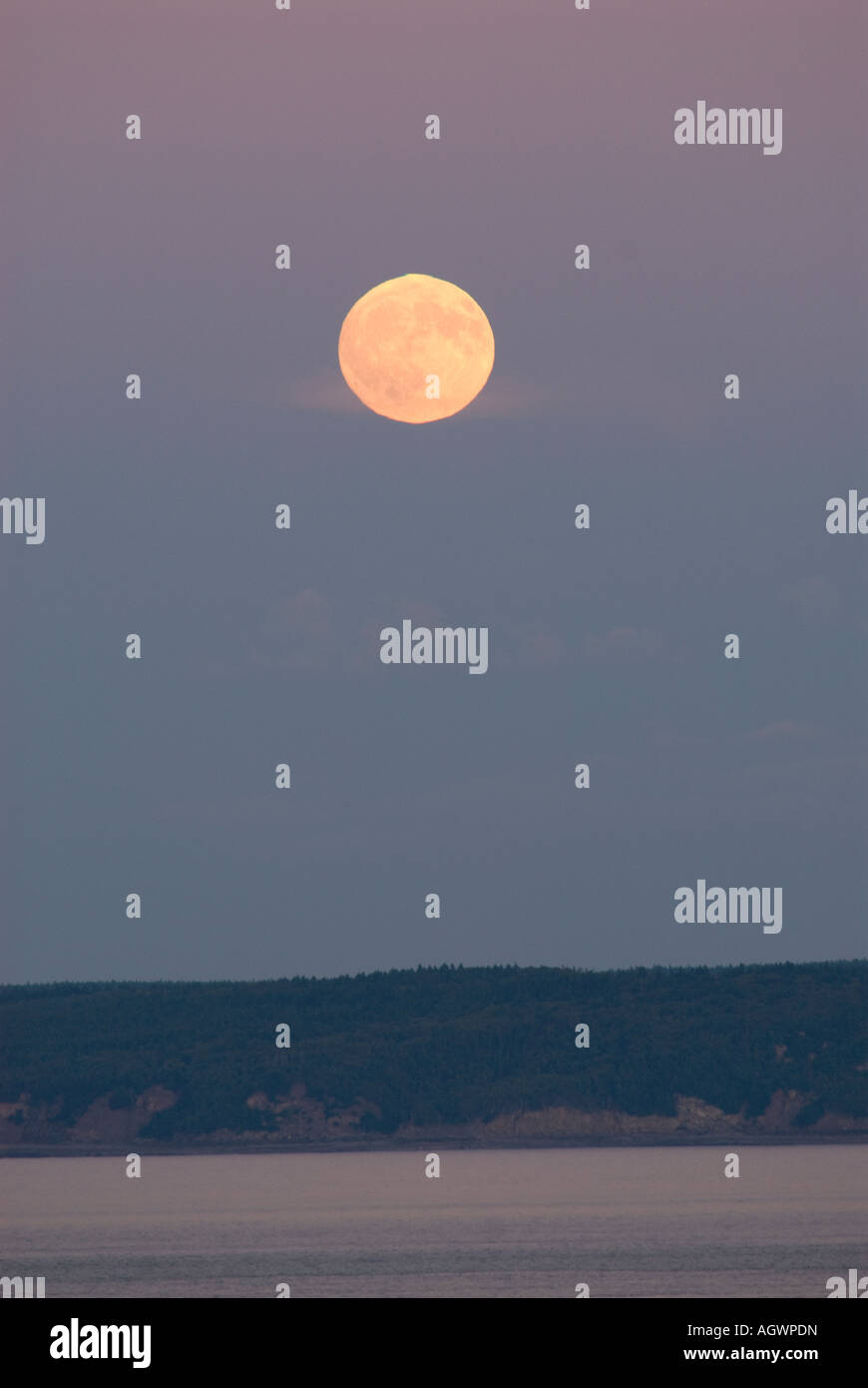 Full Moon Over Bay Of Fundy High Resolution Stock Photography and ...