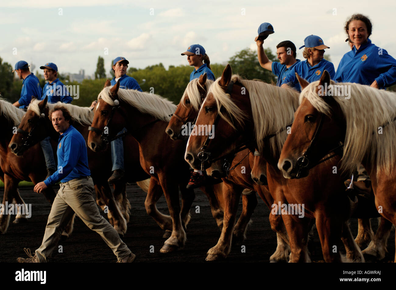 Horses uniform hi-res stock photography and images - Alamy