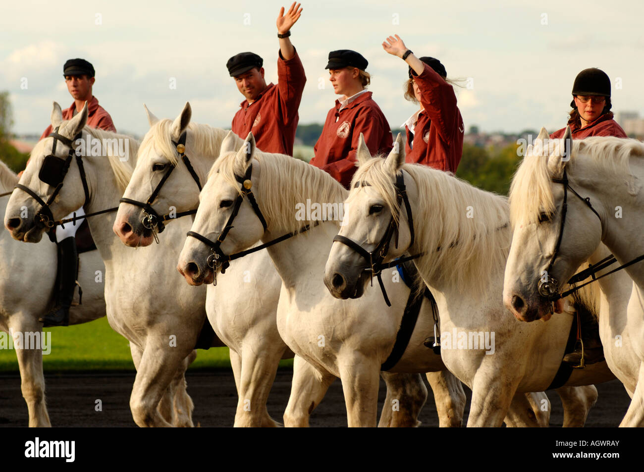White horse parade hi-res stock photography and images - Alamy