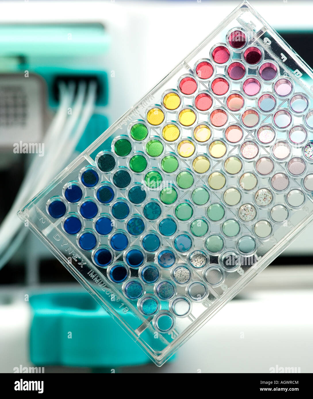 Biotech research lab titre plate assay Stock Photo - Alamy