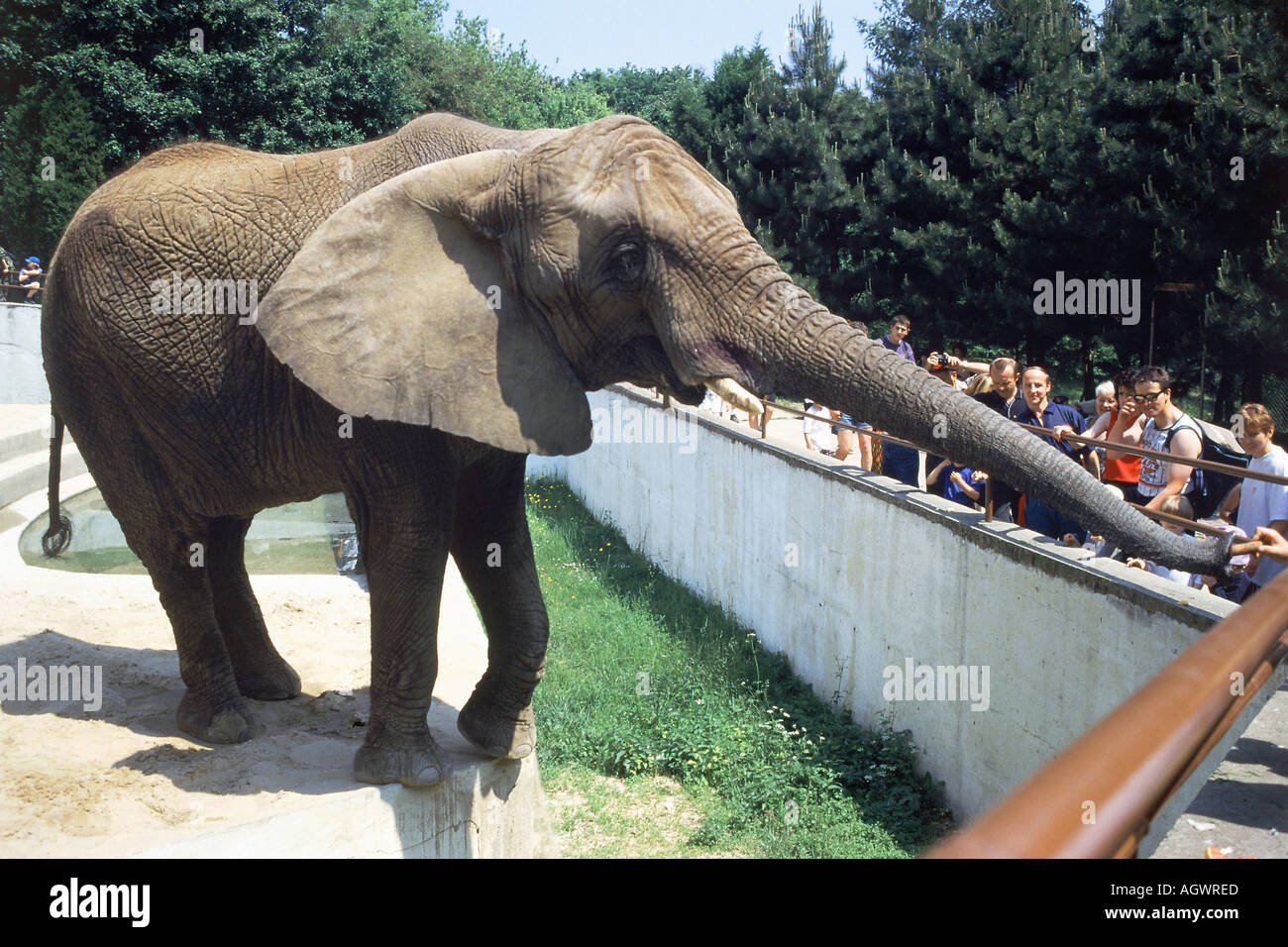 Bojnice zoo hi-res stock photography and images - Alamy