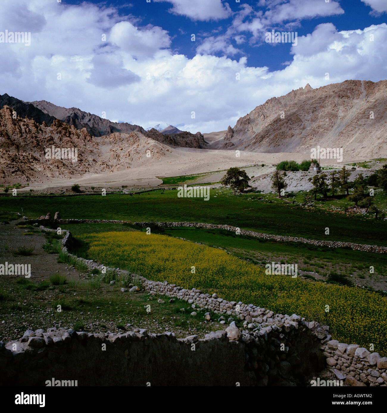 Agrarland hi-res stock photography and images - Alamy