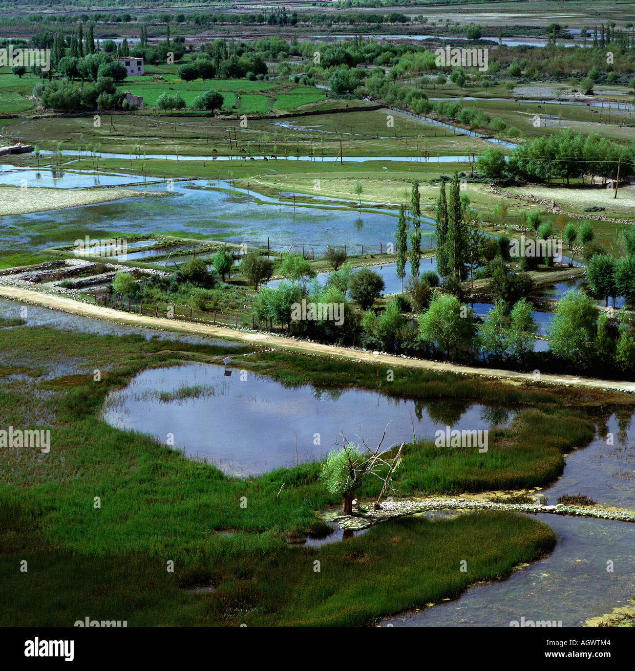 Fields in the Indus valley / Felder im Industal Stock Photo - Alamy