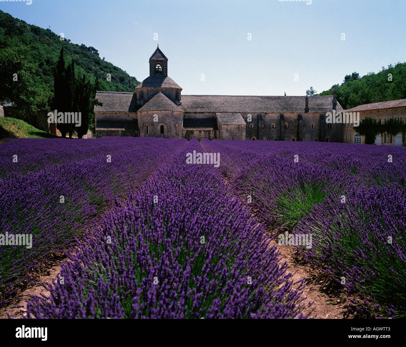 Abbey Senanque / Abtei Senanque Stock Photo - Alamy