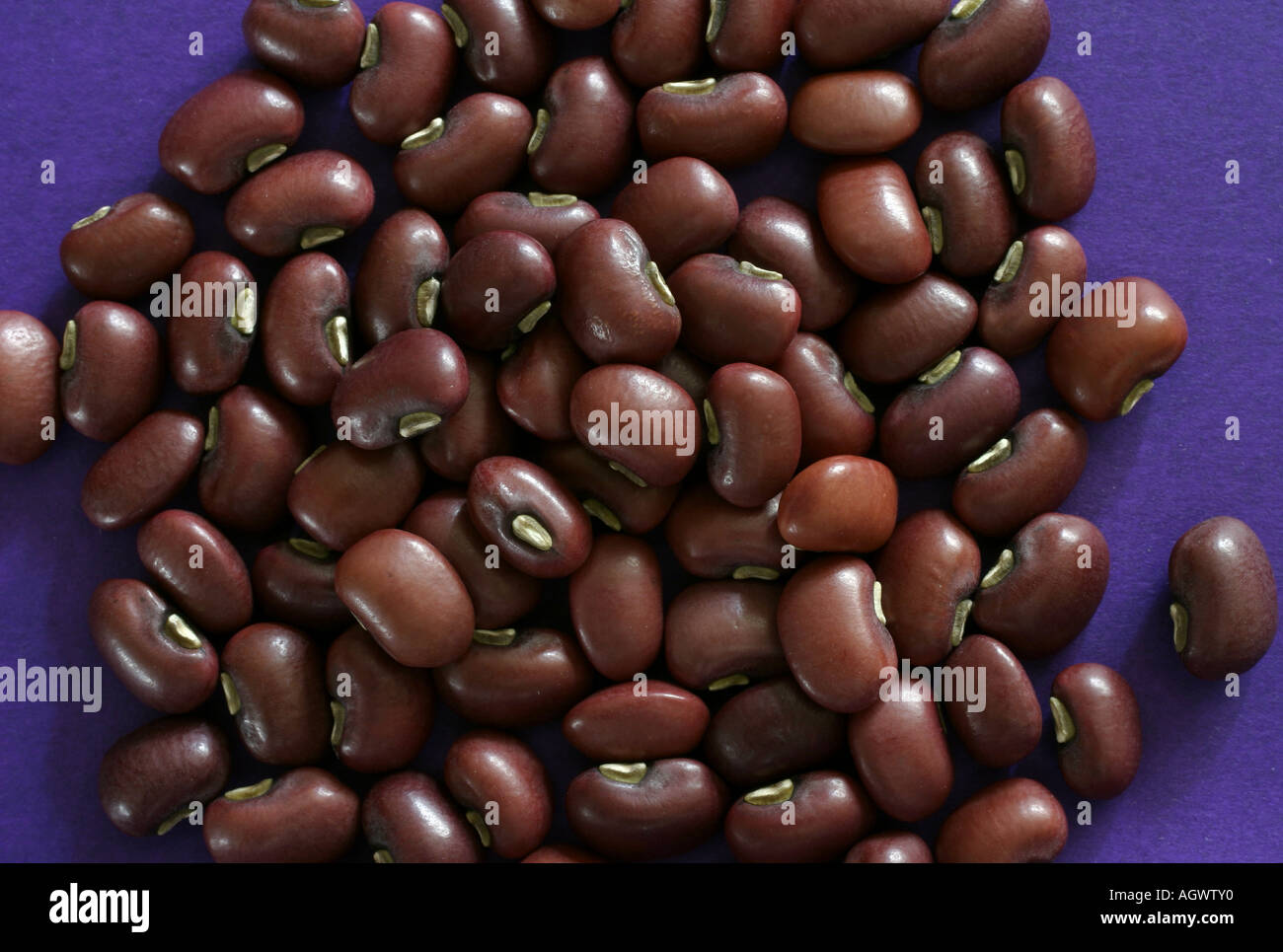 Dried red Japanese azuki beans Stock Photo - Alamy