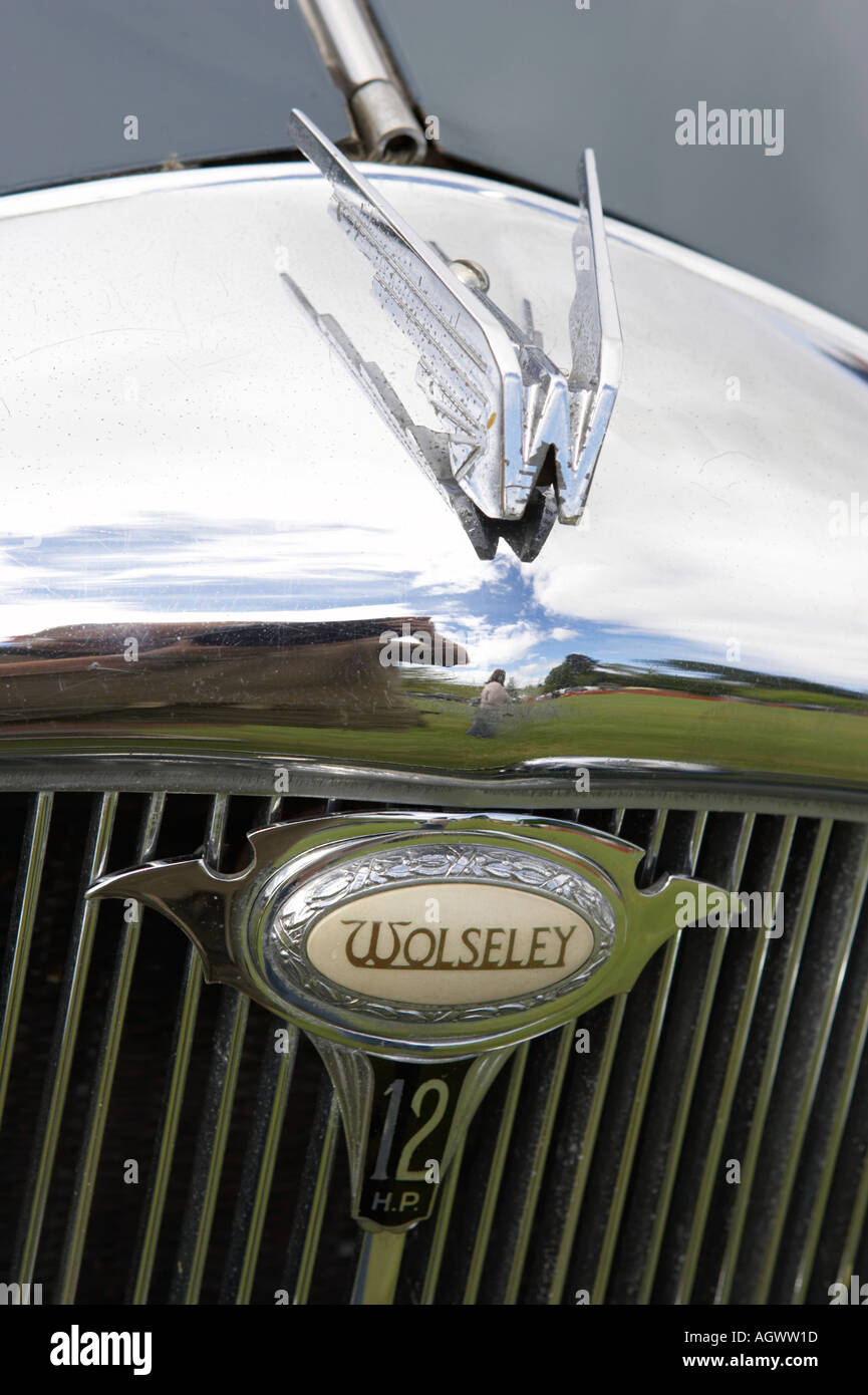Wolseley 12 HP Radiator grille and mascot Stock Photo - Alamy
