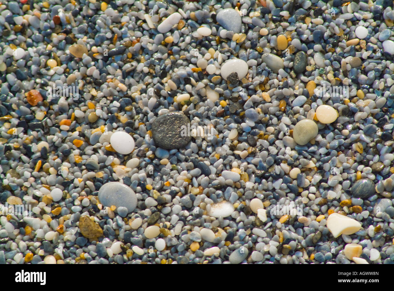 Collection Pebbles and rocks lying on beach Stock Photo - Alamy