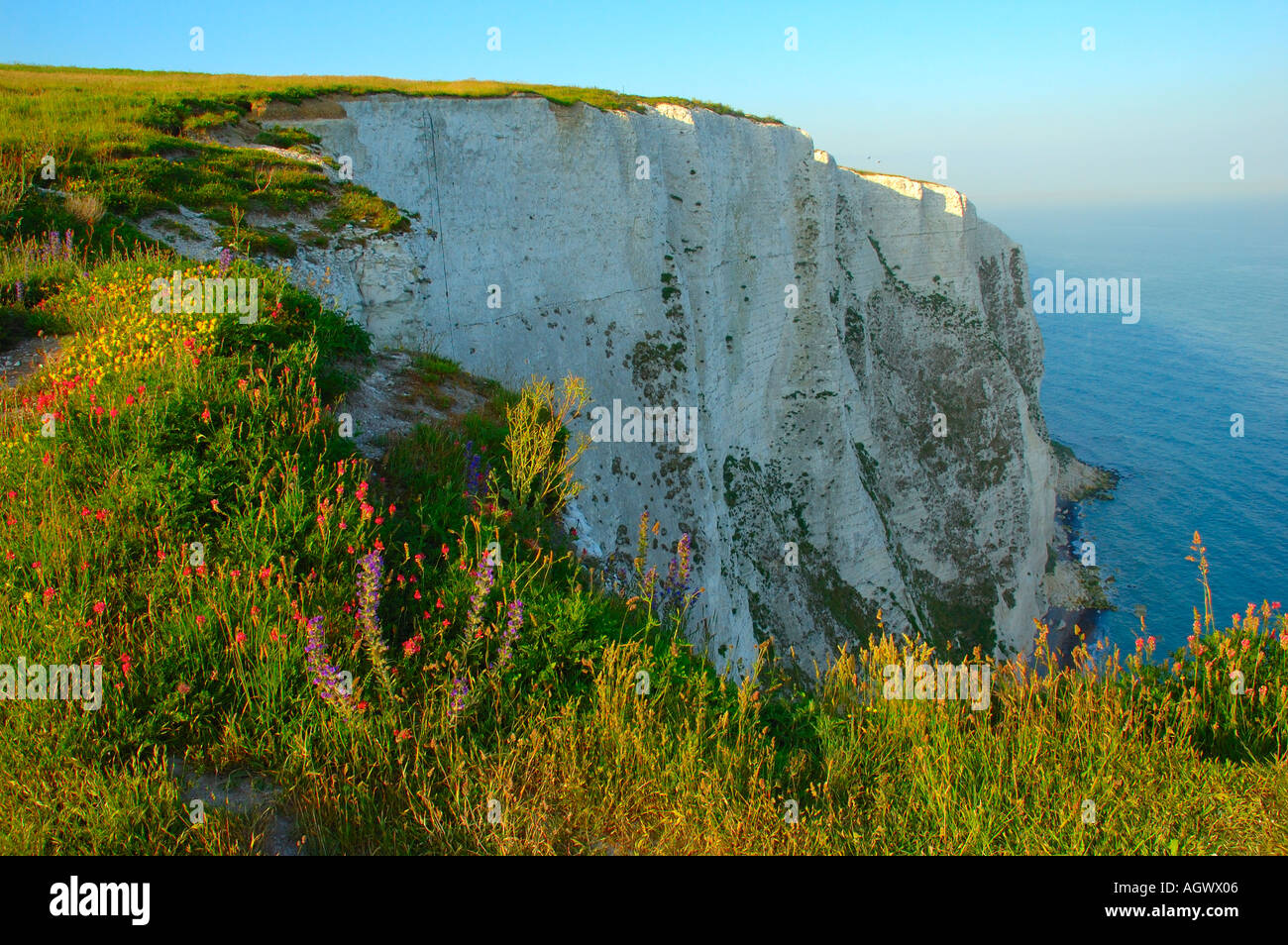 White Cliffs of Dover, Kent, England, UK, GB Stock Photo - Alamy