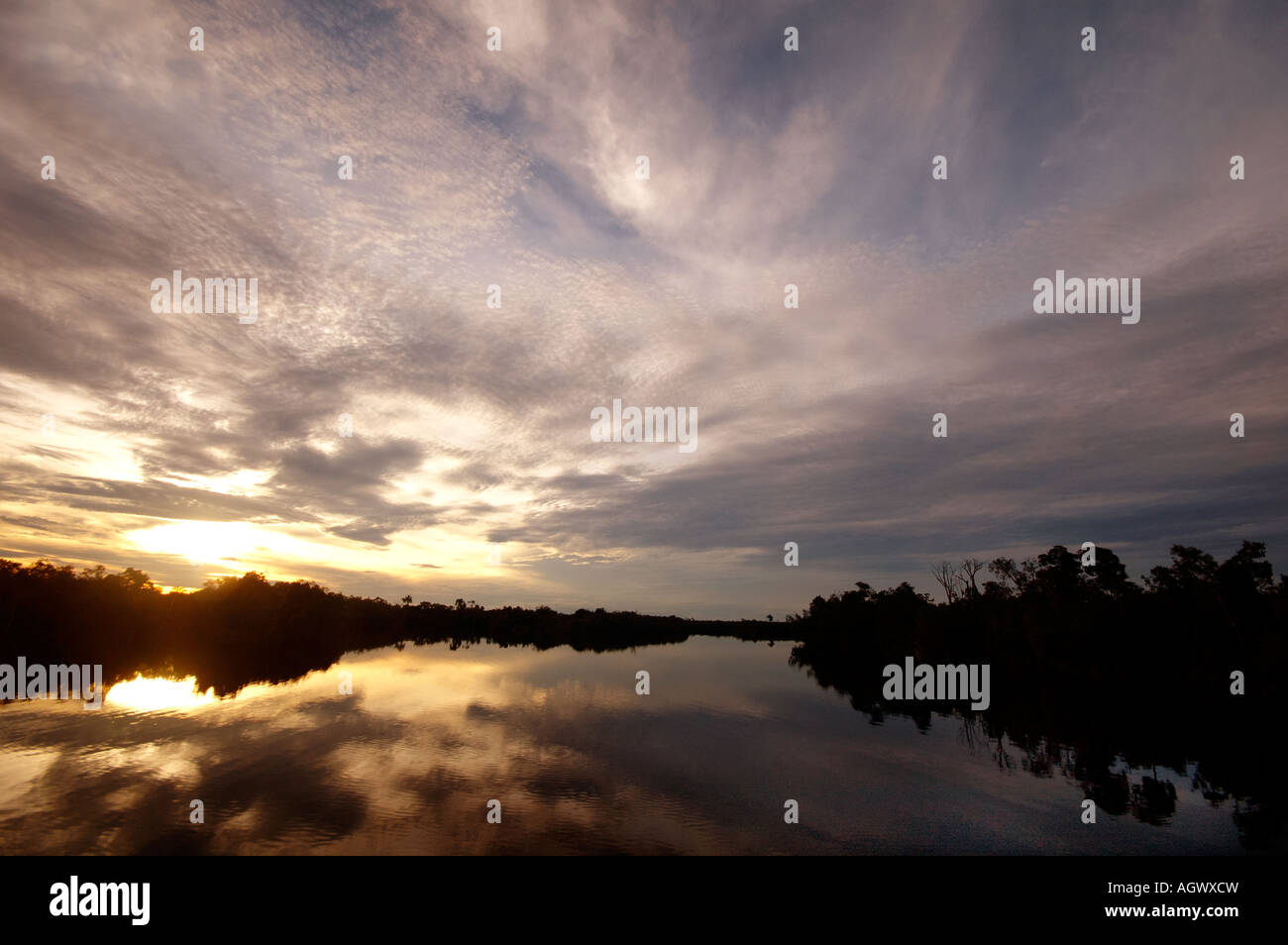 Sunset in the Amazon Rainforest Stock Photo - Alamy