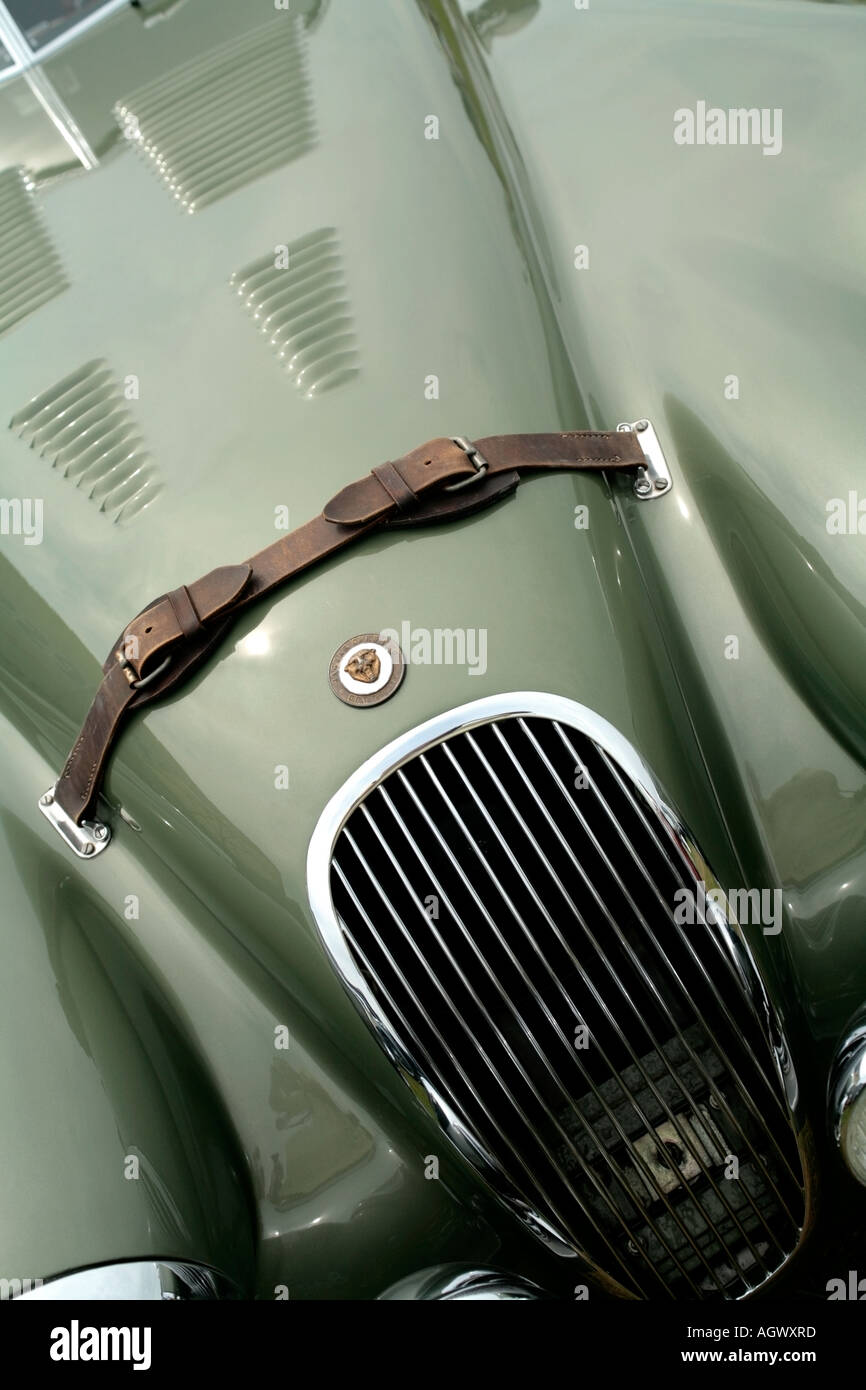 Car bonnet strap hi-res stock photography and images - Alamy