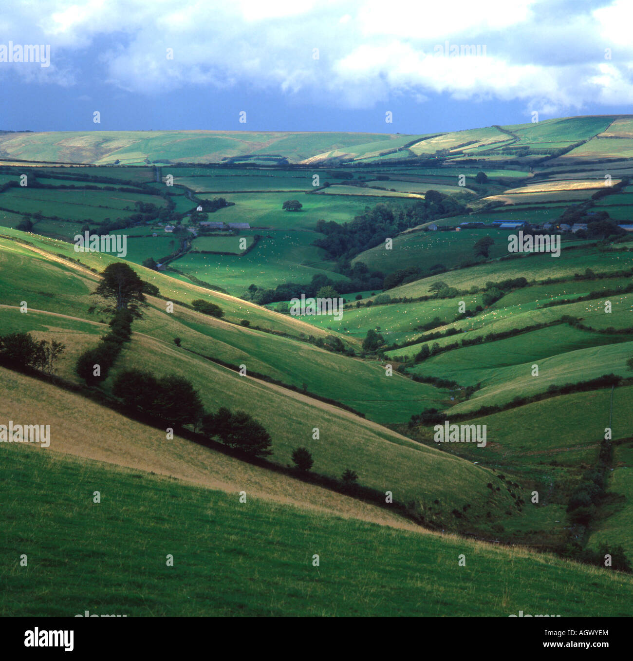 Landscape in Devon, England, at the foothills of Dartmoor Stock Photo ...