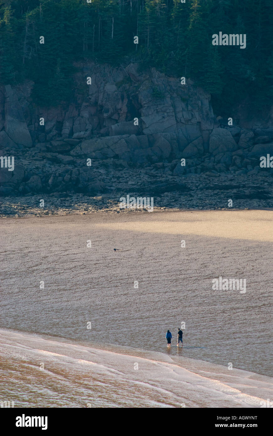 Couple walking on the beach below the cliffs of Cape Enrage New ...