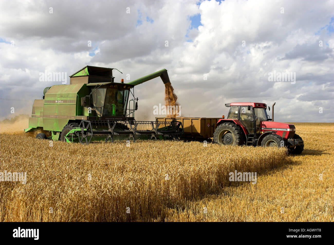 A Deutz - Fahr combine harvester at work harvesting a field of wheat ...