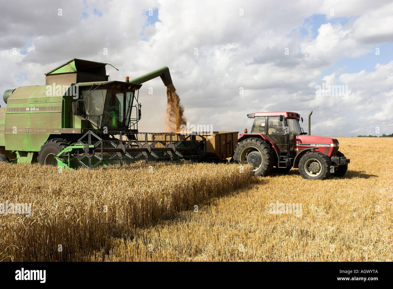 A Deutz - Fahr combine harvester at work harvesting a field of wheat ...