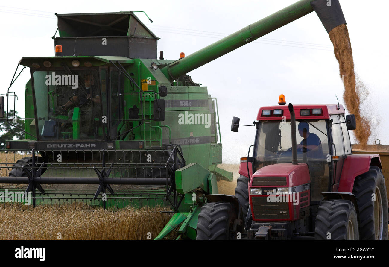 Silage store discharging trailer unload discharge unloading spout ...