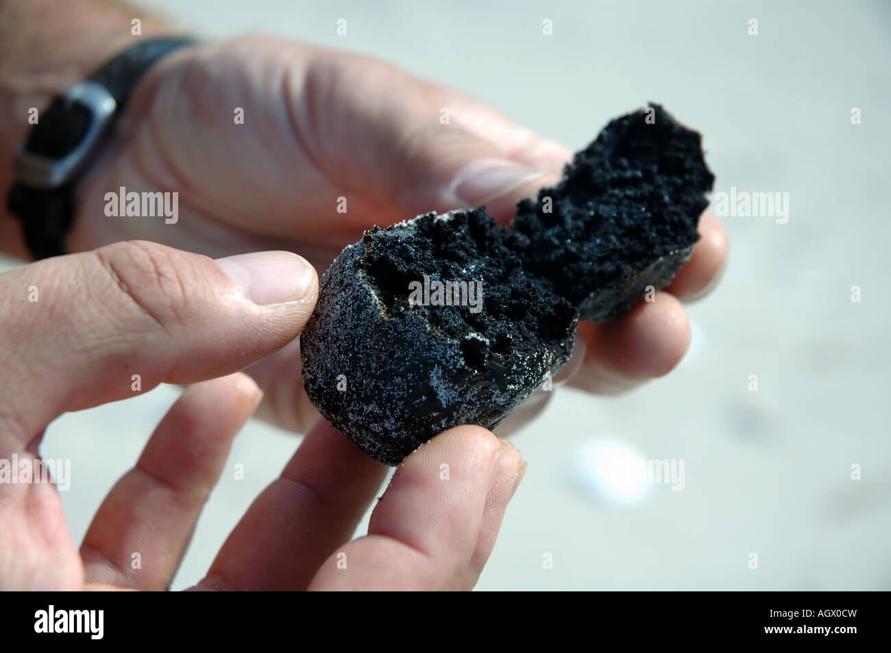 Tar balls hydrocarbon pollution from ships washes up on and ...