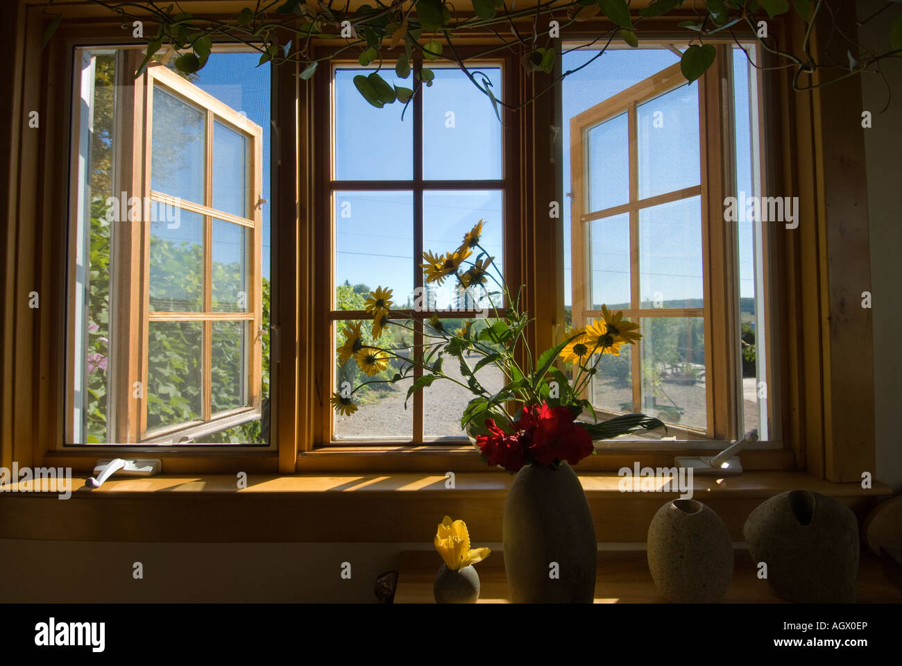Window sill flowers hi-res stock photography and images - Alamy