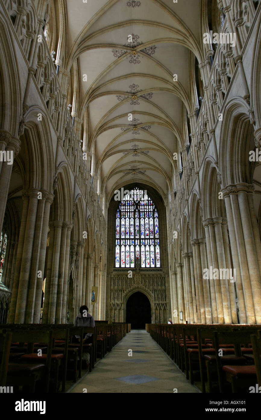 Beverley minster window hi-res stock photography and images - Alamy