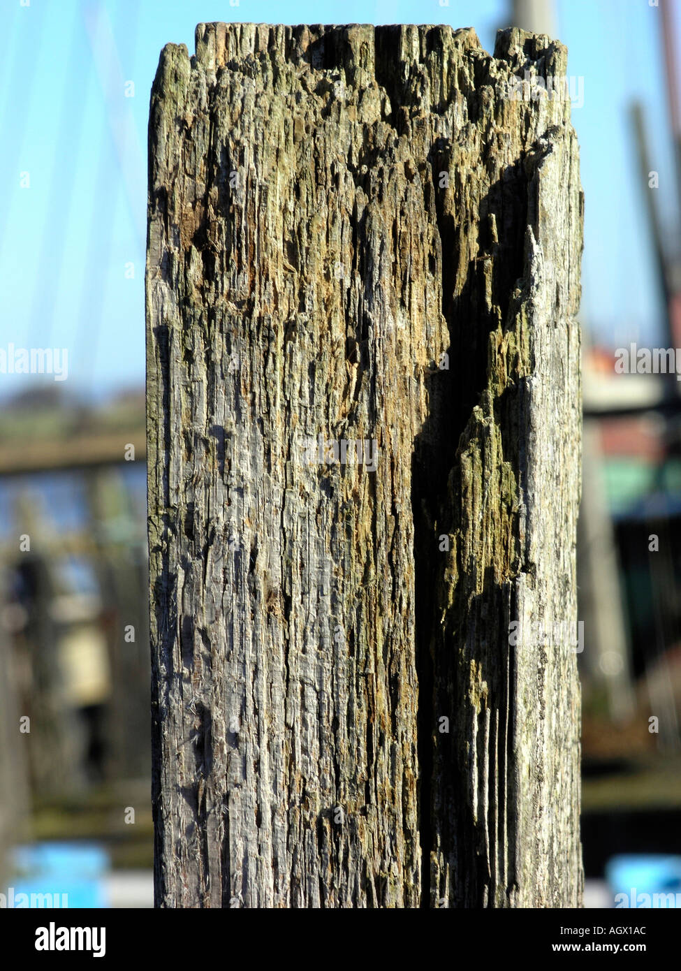 Rotted posts hi-res stock photography and images - Alamy