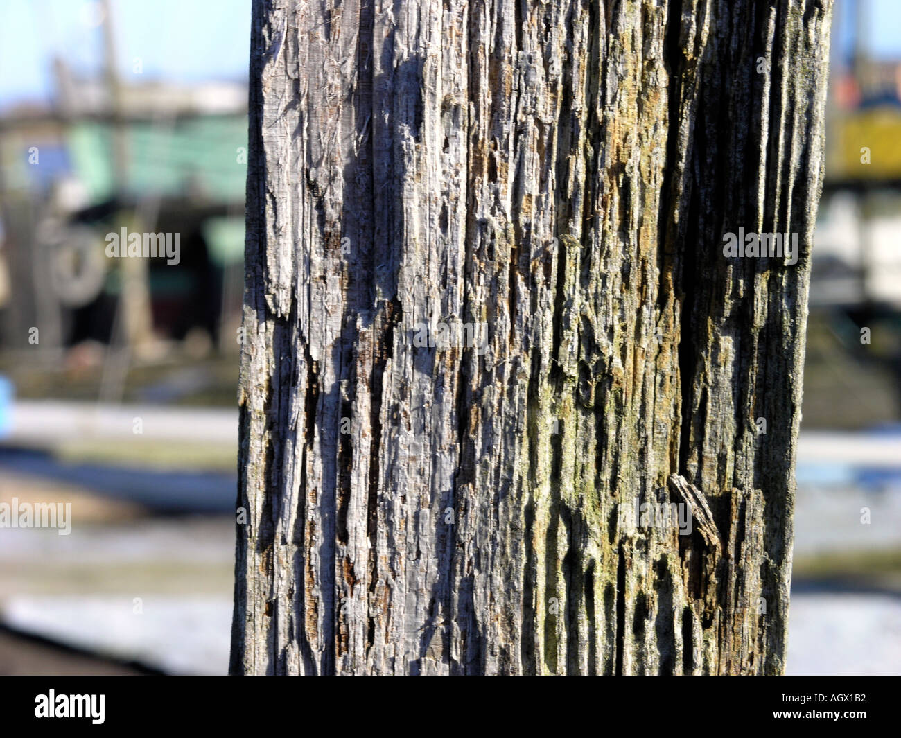 Rotted posts hi-res stock photography and images - Alamy