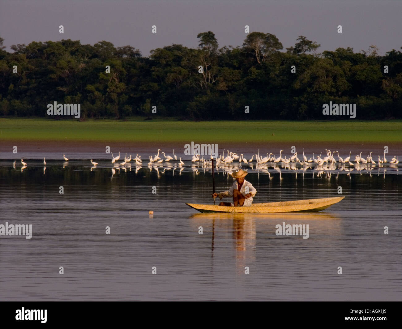 Riverside dweller (ribeirinho) fishing in the dry season on the Piranha ...