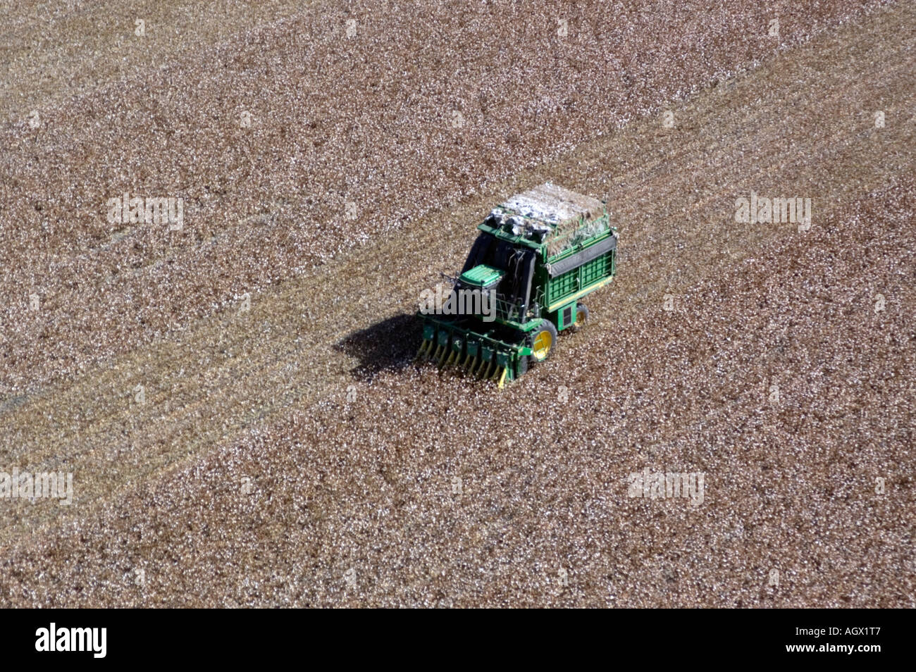 Cotton harvester hi-res stock photography and images - Alamy