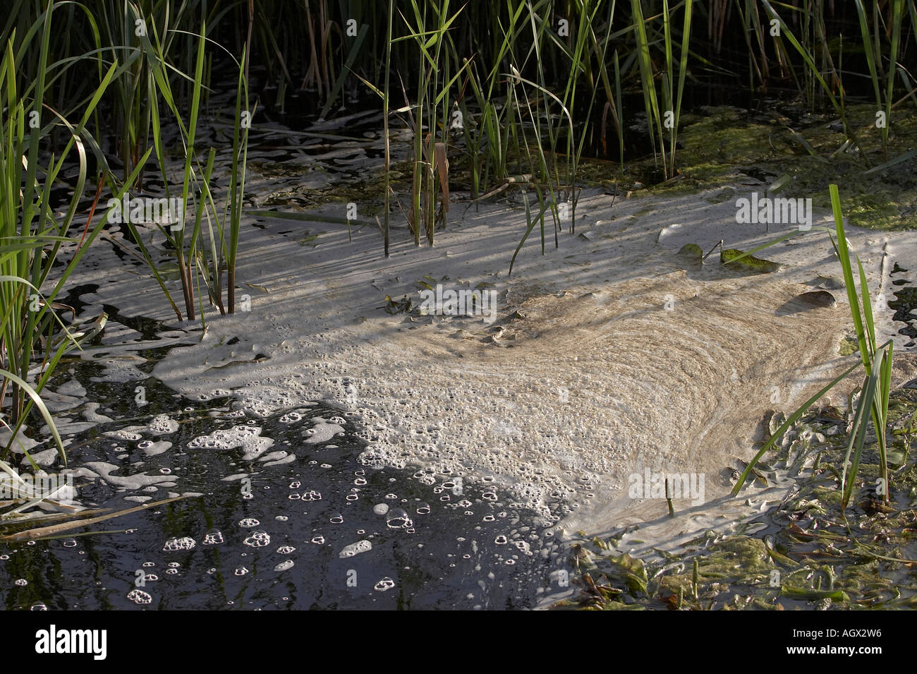 River pollution england hi-res stock photography and images - Alamy